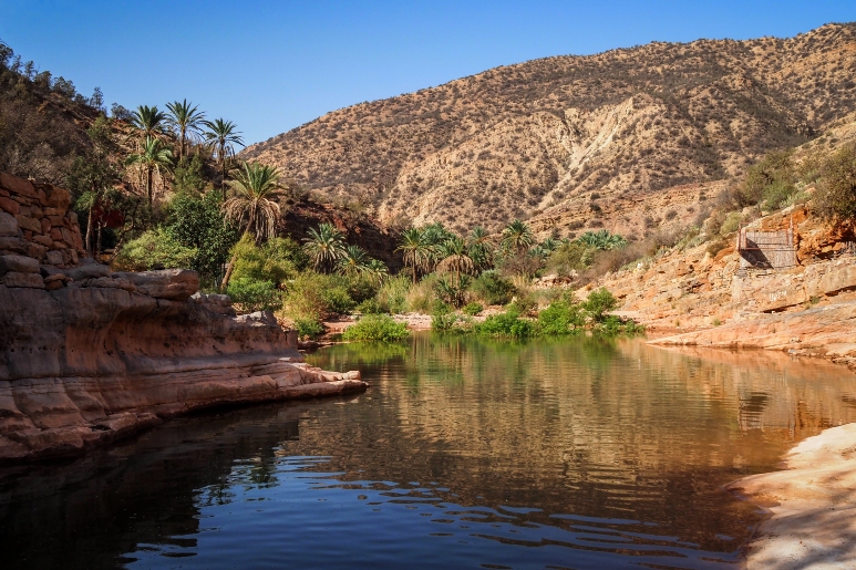 8 Free Things To Do in Agadir