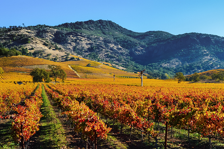 Fall in California: What To See and Do