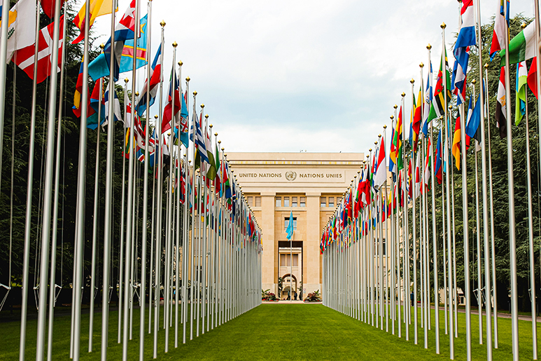Geneva in Summer: Top 10 Things To Do and See
