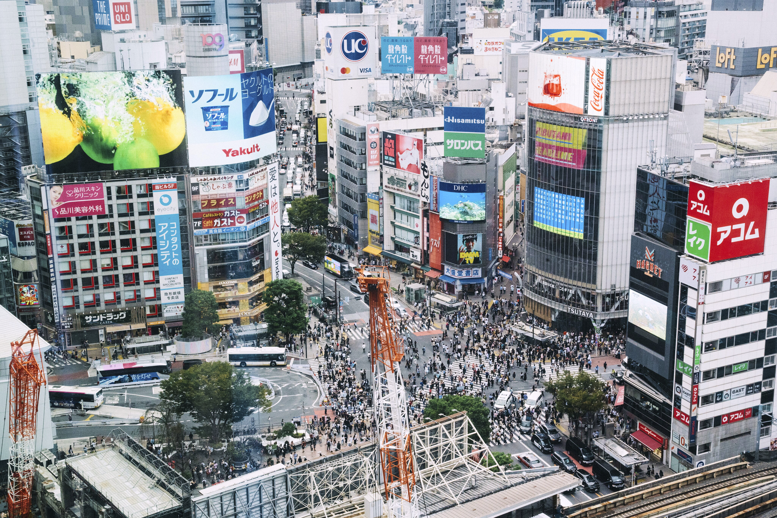 Best Views in Tokyo: 8 Observation Decks and Spots Revealed