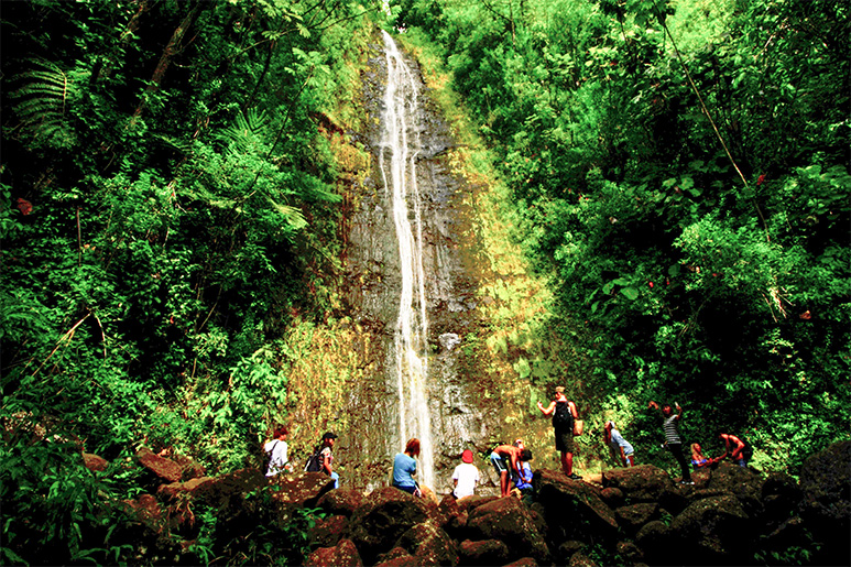 Guide to Visiting Manoa Falls: Travelers’ Questions Answered