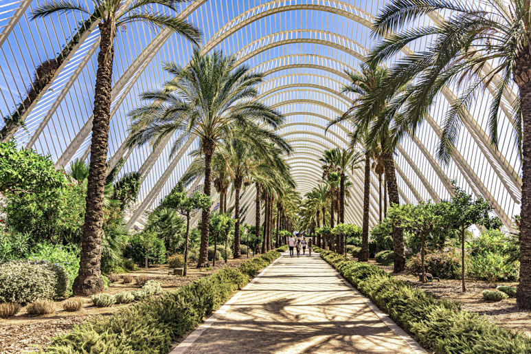 Valencia in Summer: Unique Experiences and Activities