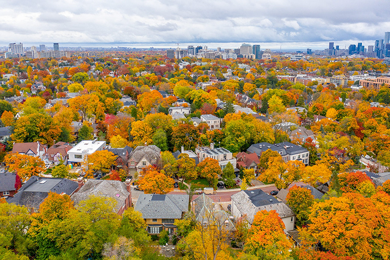 Best Time To Visit Toronto: A Month-By-Month Guide