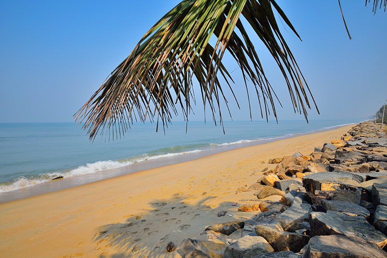 10 beste Orte in Kochi für alle Reisenden