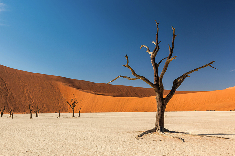 How To Visit the Most Beautiful Deserts in the World