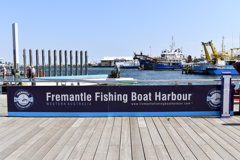 8 Epic Things to Do in Perth at Night