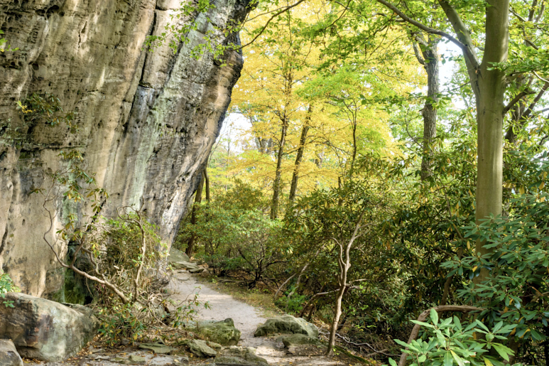 Spring in West Virginia: 8 Best Places to Visit