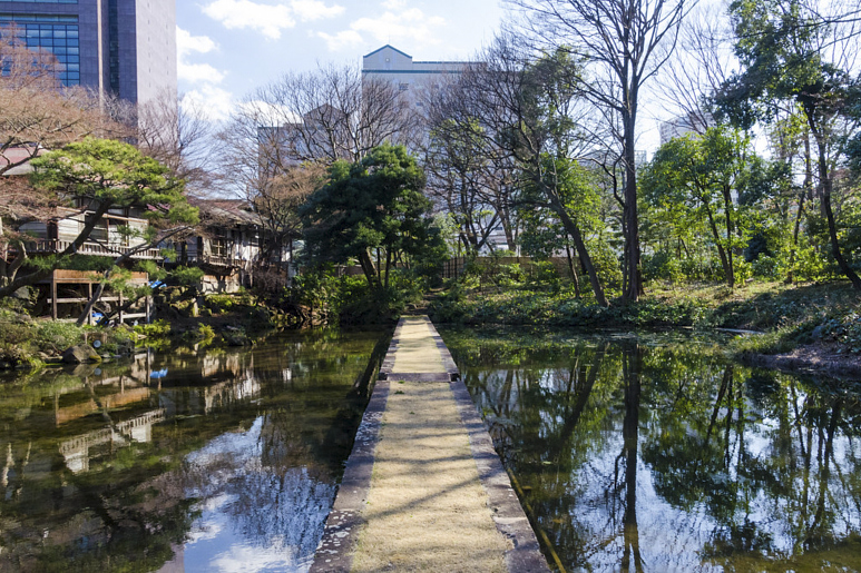 Discover the Best Walking Trails in Tokyo