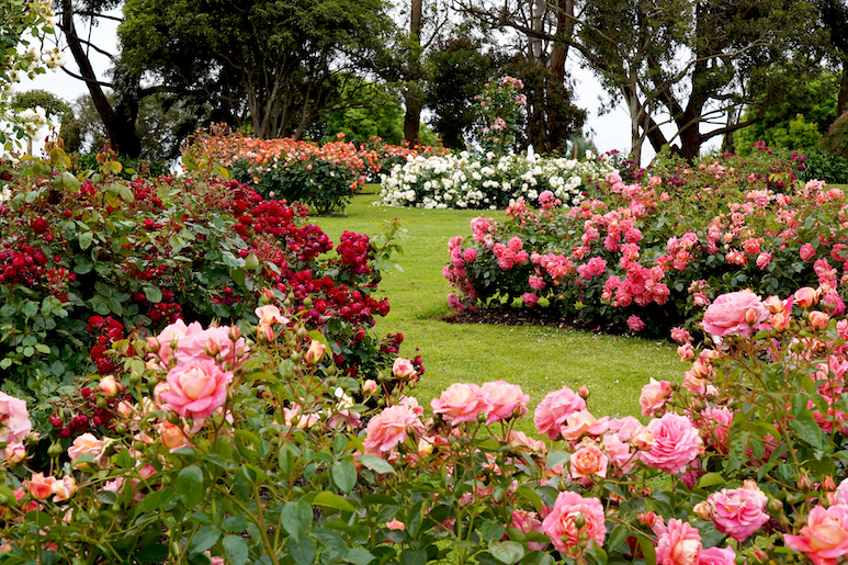 11 Unique and Fun Things To Do in Adelaide