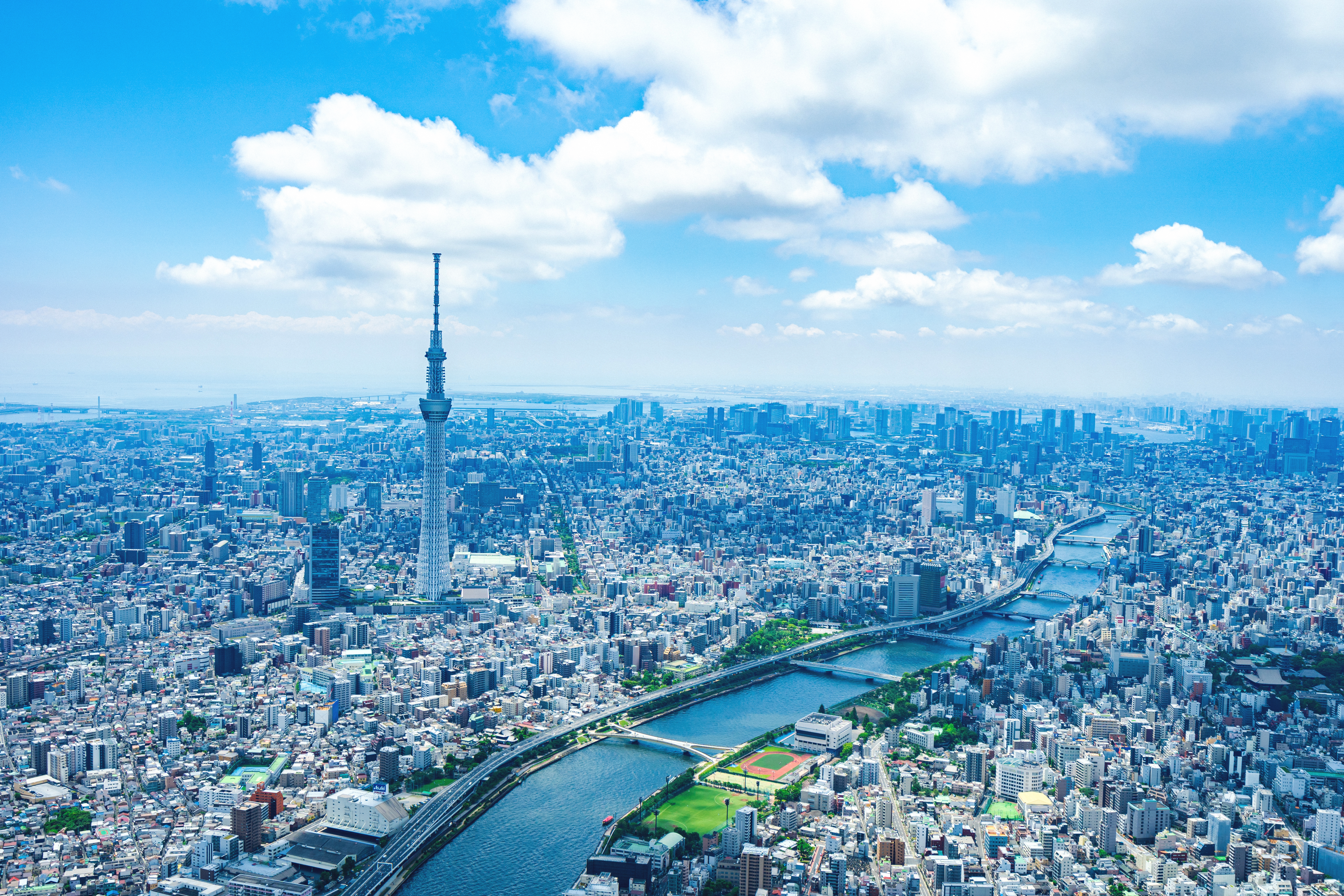 Best Views in Tokyo: 8 Observation Decks and Spots Revealed
