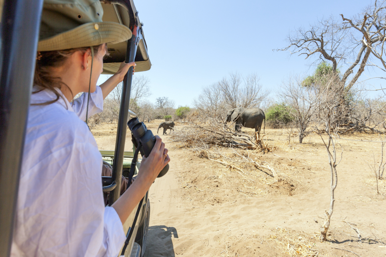Best Time To Visit Etosha National Park: Monthly Guide
