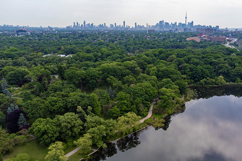 8 of the Best Views in Toronto and Where To Find Them