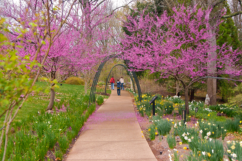 8 Epic Things To Do During Spring In Tennessee