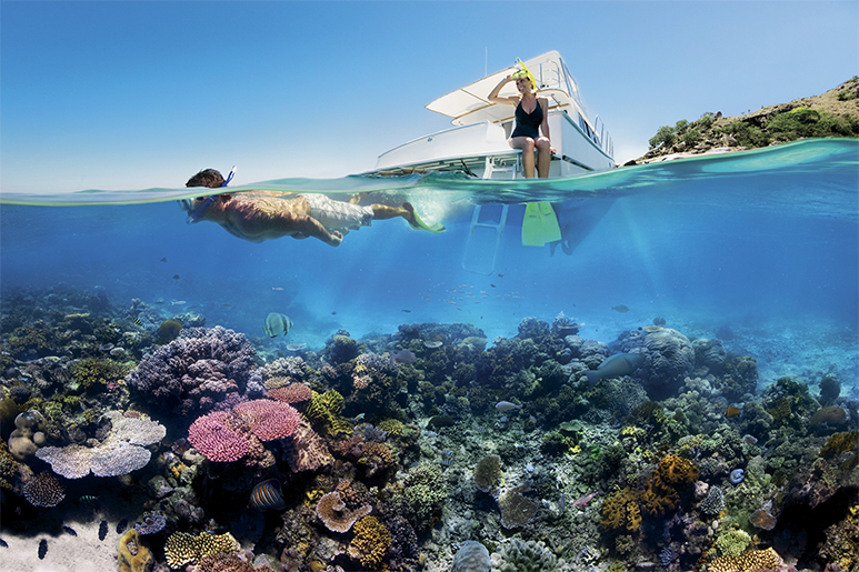 Best Time To Visit Great Barrier Reef Marine Park: A Guide