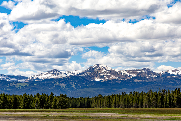 Spring in Montana: What To See and Do