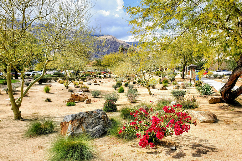 April Travel USA: The Top 10 Things To Do in the US in April