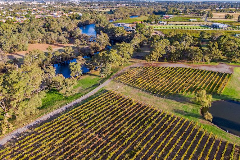 8 Best Places to Visit in Perth