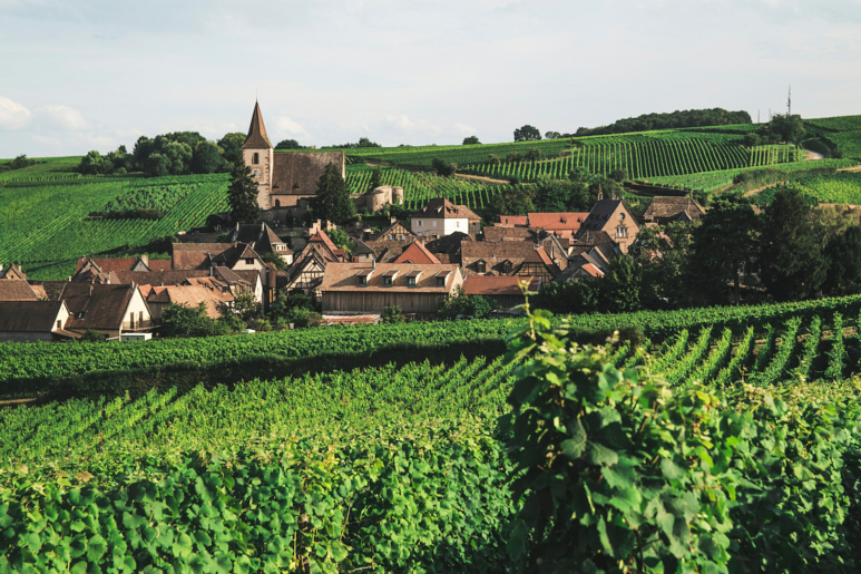 Paris To Colmar Day Trip: 14 Best Things To Do In Colmar