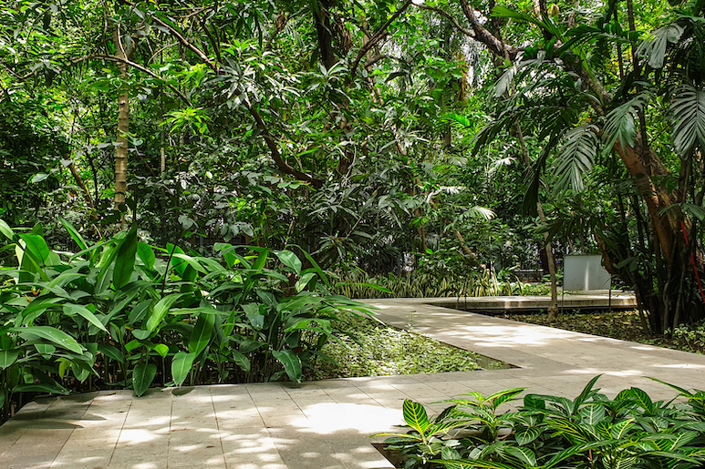 Discover The Most Fun Things To Do in Manila