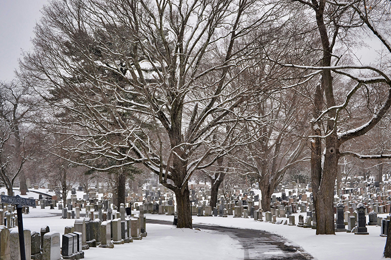 Winter in Massachusetts: 9 Best Places To Visit