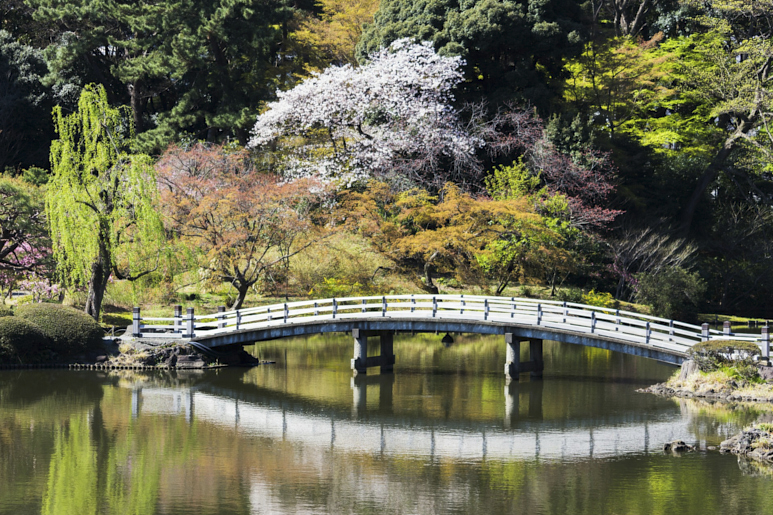 Tokyo in May: What To See and Do