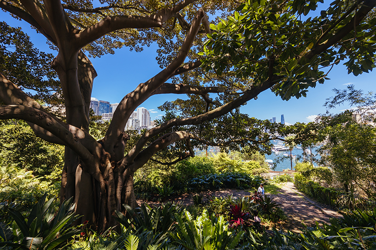 Sydney in Spring: Your Guide to Australia’s Best Season