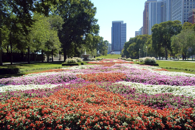 The Ultimate Guide to Your First Time in Chicago