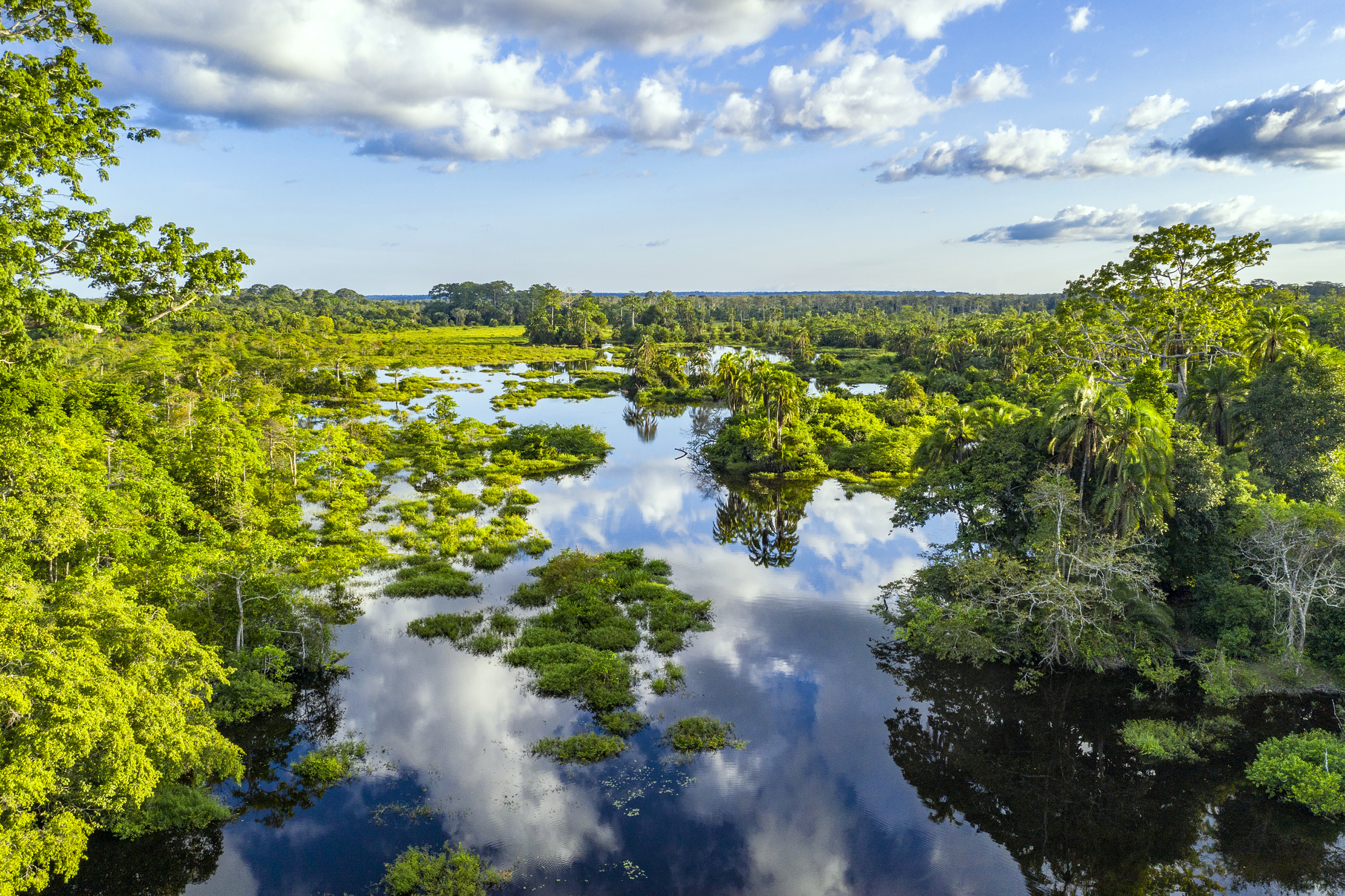 The 10 Biggest Rainforests in the World