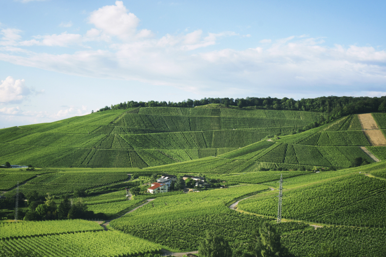 9 leuke dingen om te doen in Stuttgart