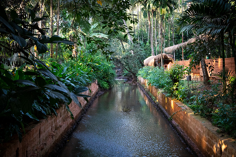 8 Best Places To Visit in Goa All Year Round