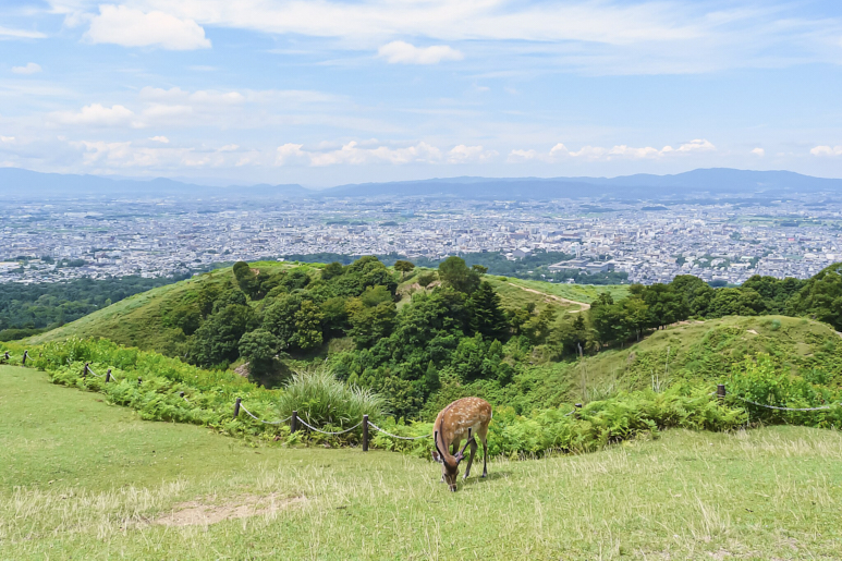 10 Best Places To Visit in Nara For Every Traveler