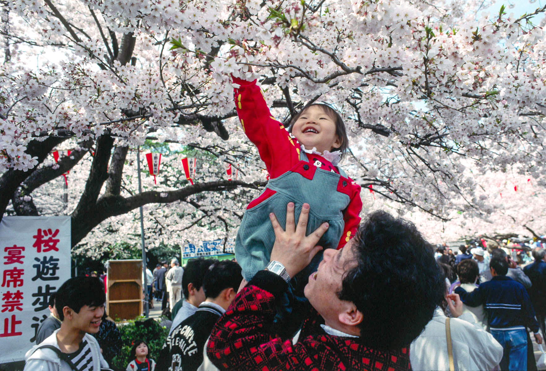 The 8 Best Spring Festivals Around the World Worth The Trip
