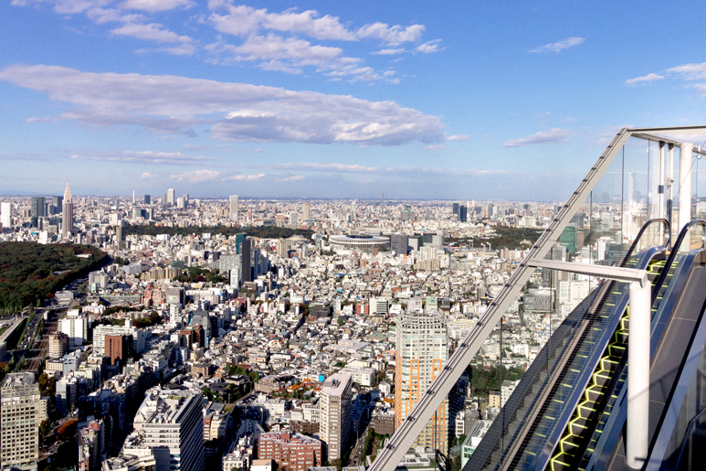 8 Spots with the Best Views in Tokyo Revealed