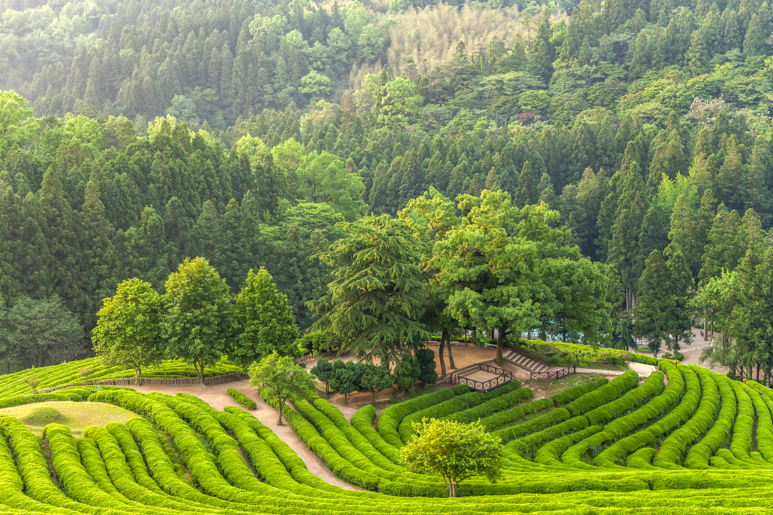 The 10 Most Beautiful Places in South Korea