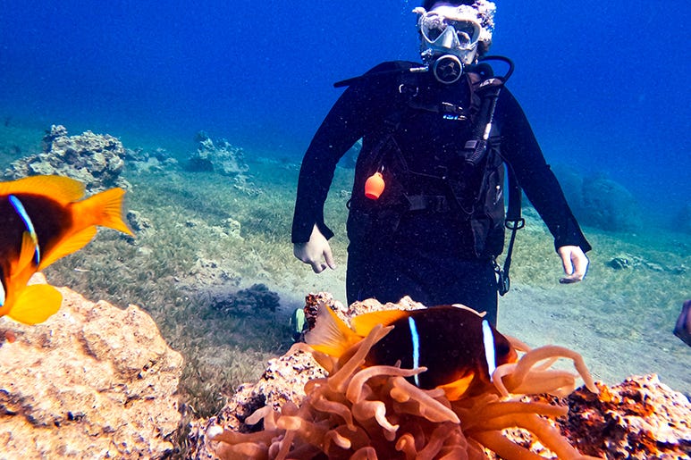 10 best scuba diving destinations: Insider tips