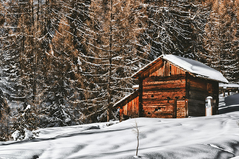 The 8 Best Places To Visit in Winter in Georgia