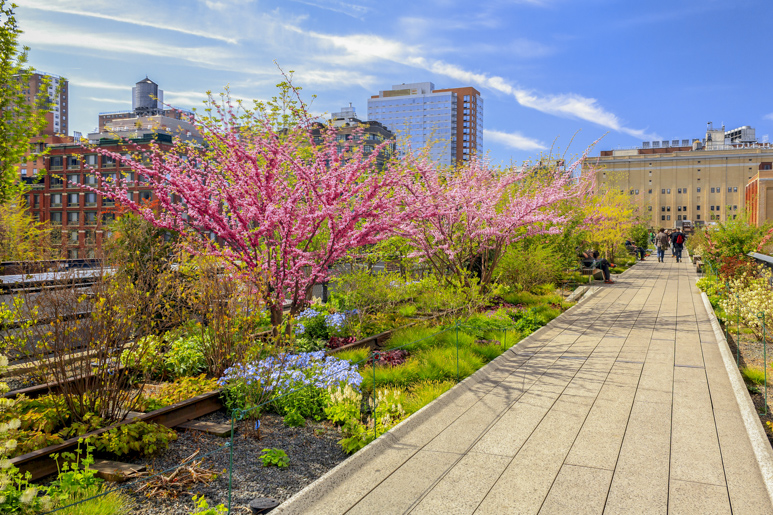 The Ultimate Guide to Spring in New York City