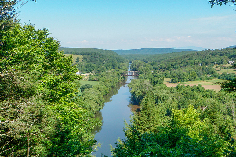 Spring in Virginia: 8 Top Things To Do and See