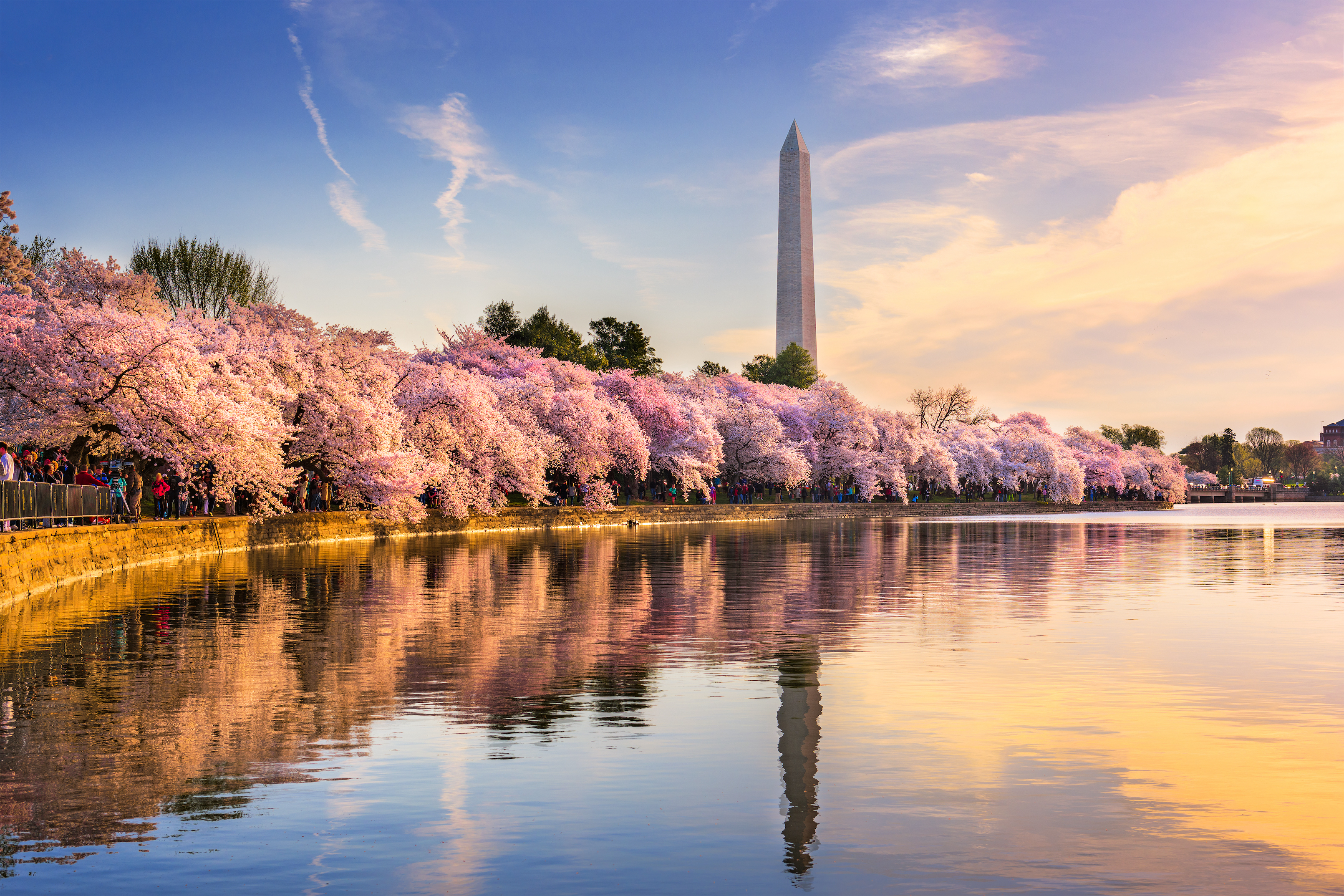 The Ultimate Guide to Your First Time in Washington, DC