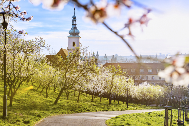 The Ultimate Guide to Your First Time in Prague