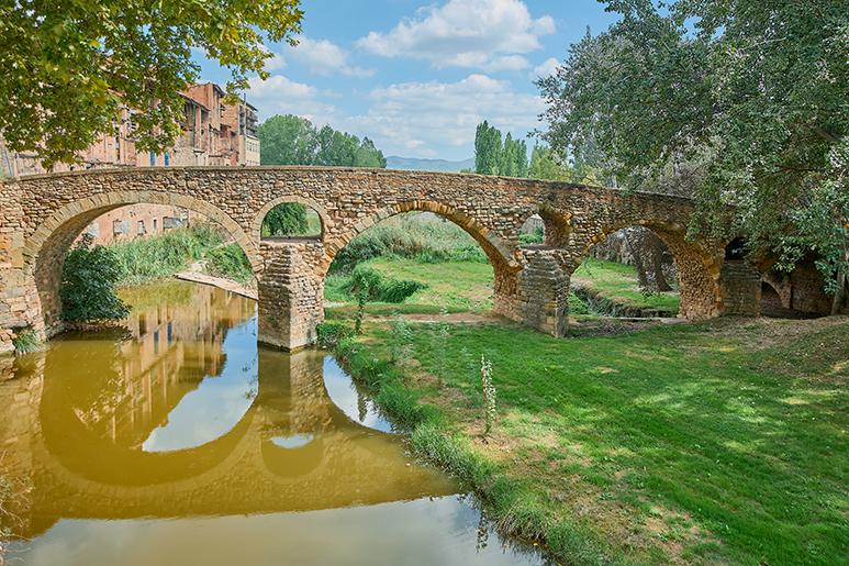 Best Bridges in Barcelona: 8 Must-See Monuments