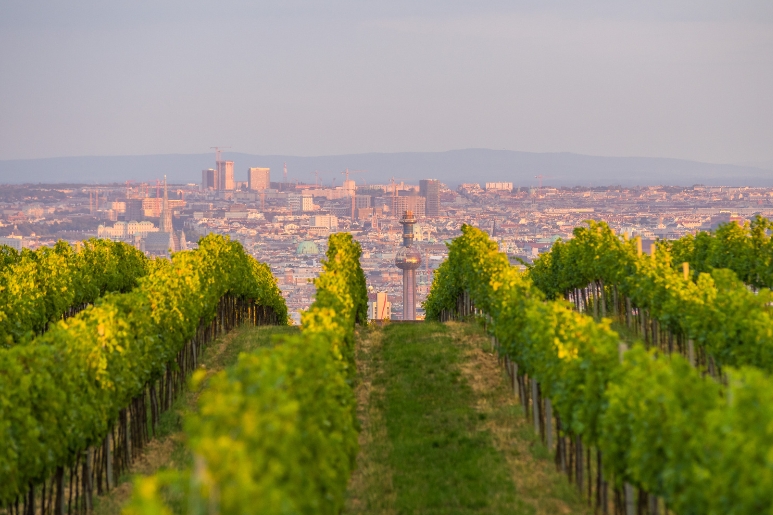 Visiting Vienna in April: What To See and Do