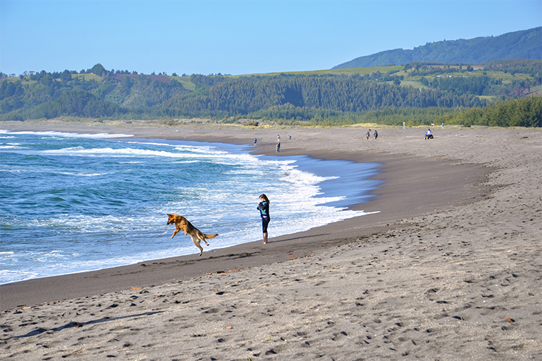 8 Best Beaches in Chile: A Complete Guide