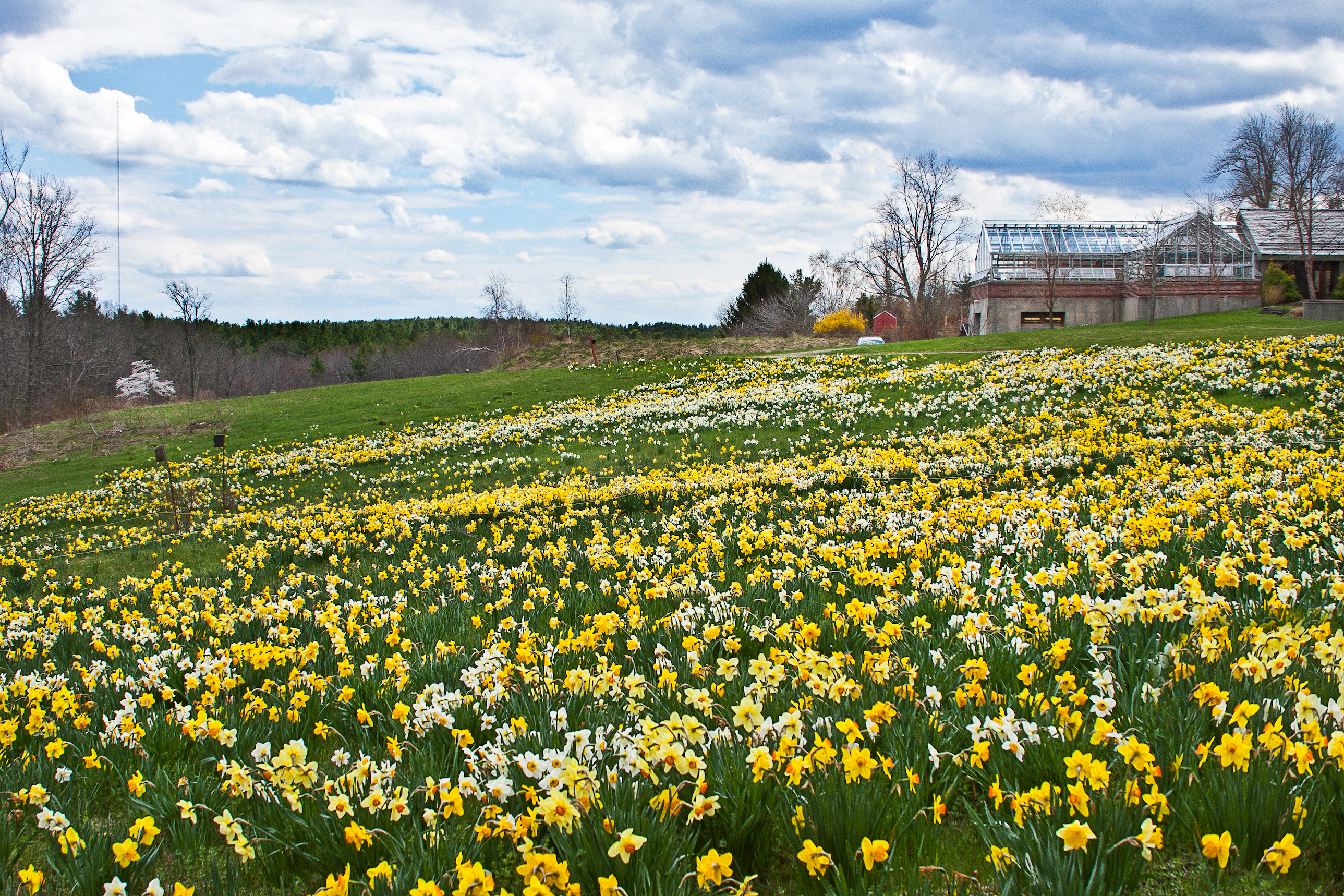 Spring in Massachusetts: The Best Things To See and Do