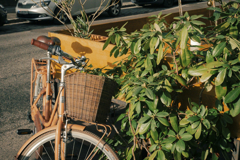 Best Way to Get Around Vienna: Everything You Need To Know