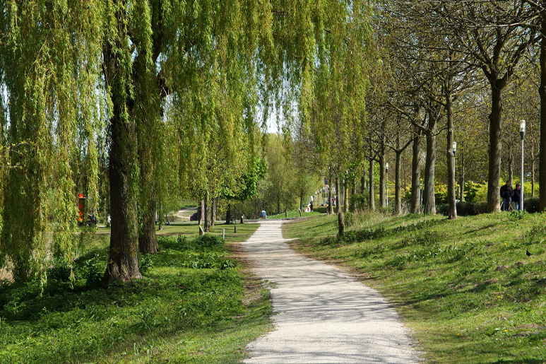 10 Best Gardens in Amsterdam for Nature & Tranquility