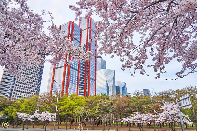 The Best Time To Visit Seoul: A Month-By-Month Guide