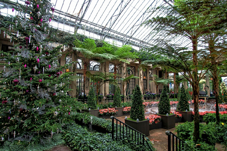 Winter in Pennsylvania: 8 Things To Do and See