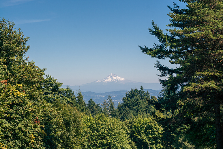 Spend an Epic Weekend in Portland, Oregon: A Local’s Guide