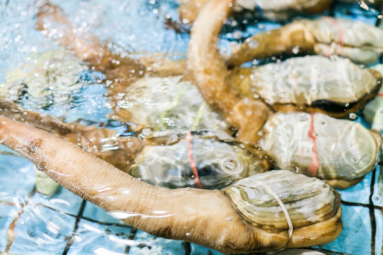 Food in Seattle: what to eat and where to go for tasty bites